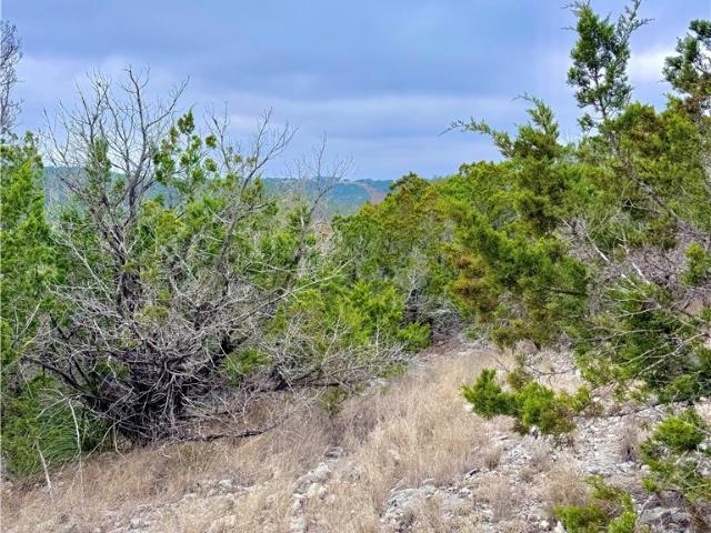424 Armadillo Trail Drive