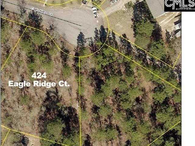 424 Eagle Ridge Ct, Gaston, SC 29053