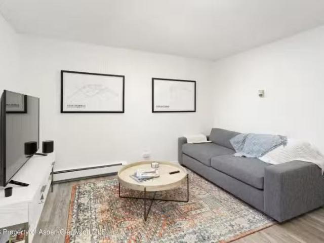 424 Park Circle, Unit B, Aspen, CO 81611