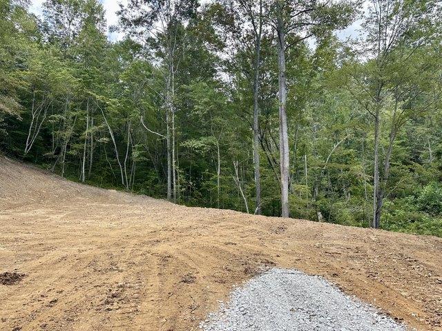 424 TRACT 5 W 577 Hwy Lot TRACT5, Manchester, KY 40962