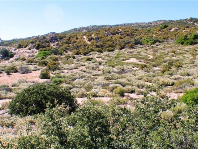 42560 Labrinia, Anza, CA 92539 | MLS #SW25163