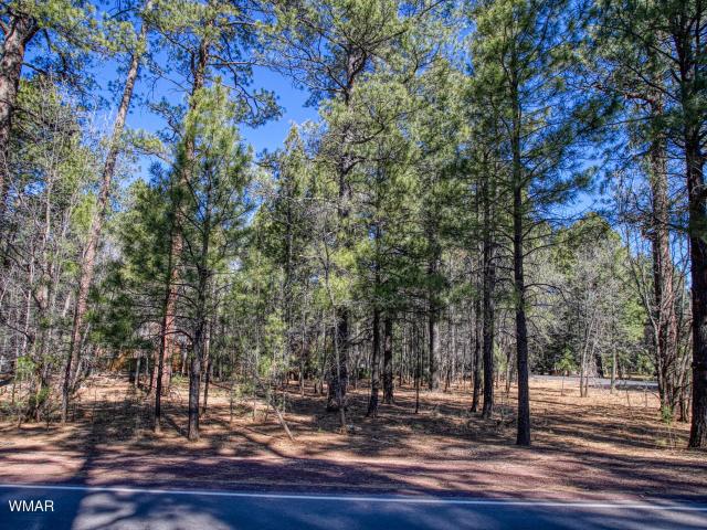 4250 Branding Iron Loop