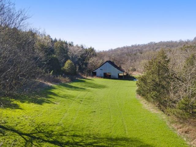 4250 Delina Rd, Cornersville, TN 37047