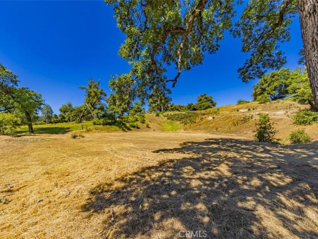 42514 Highway 49