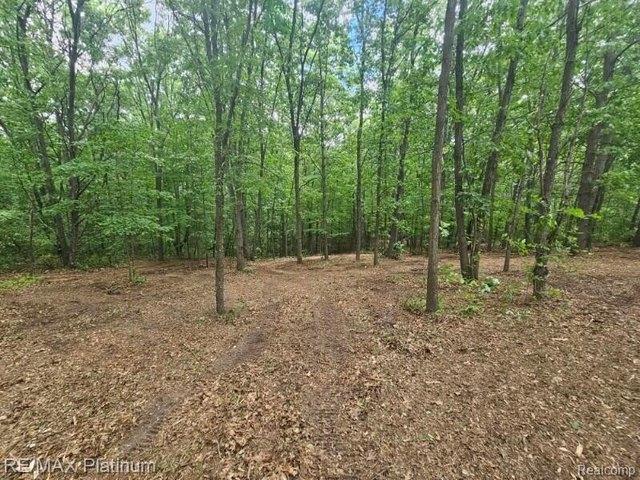 4253 Link Dr, Brighton Township, MI 48114