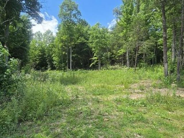 425 Anderson Hollow Rd, Huntsville, TN 37756