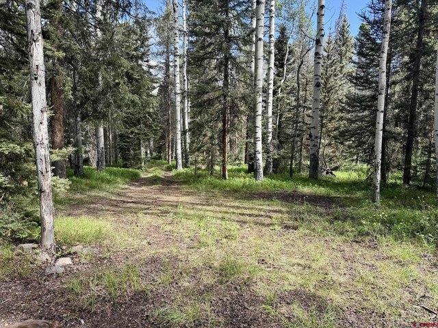 425 Aspen Trl, Cimarron, CO 81220