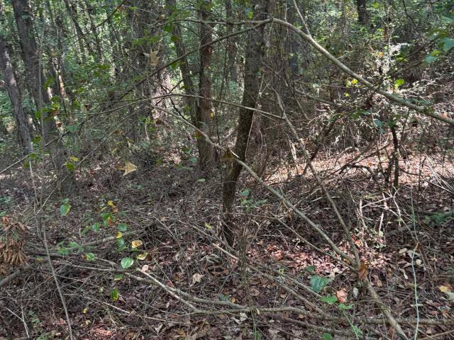 425 Bald Knob Lake Road