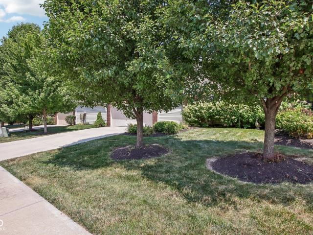 425 Dylan Drive