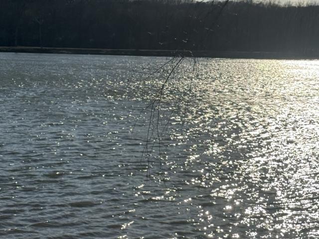 425 Hardin Bottom Rd