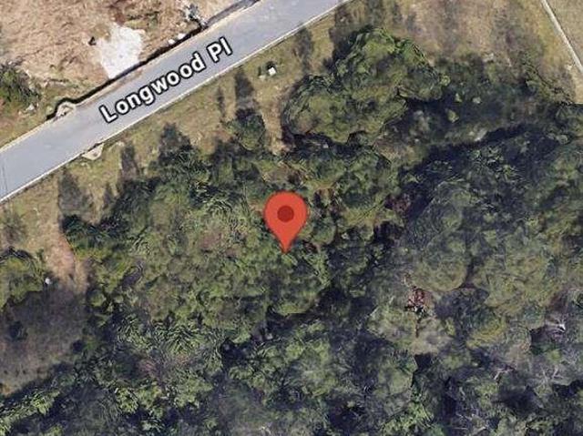 425 Longwood Pl, Dallas, GA 30132 | MLS #7693 | Compass