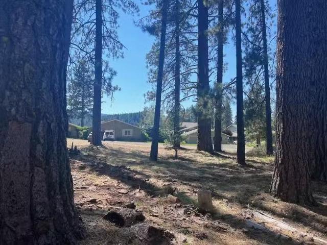 425 Lundy Lane, Blairsden, CA 96103 652241290