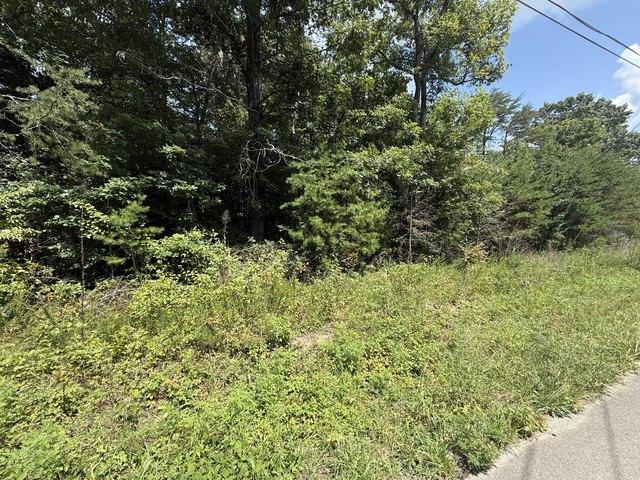 425 Woodland Ave, Altamont, TN 37301