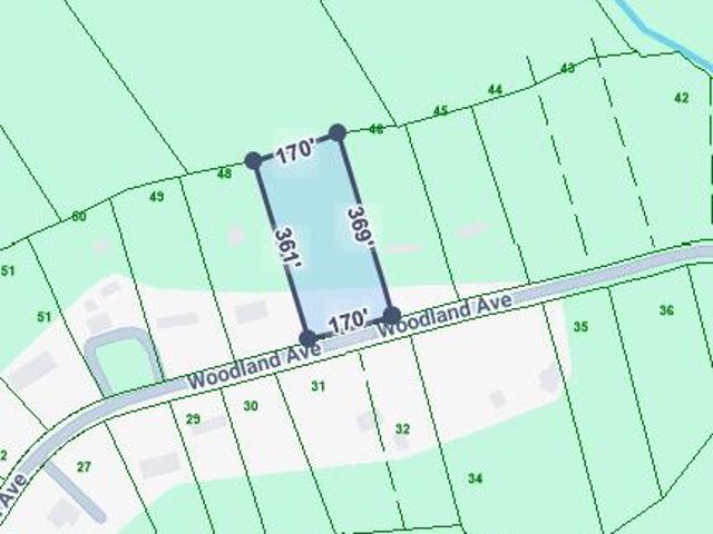 425 Woodland Avenue