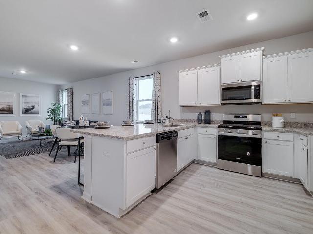 425 Wild Olive Drive