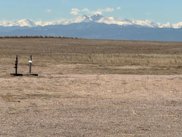 42667 County Road 51