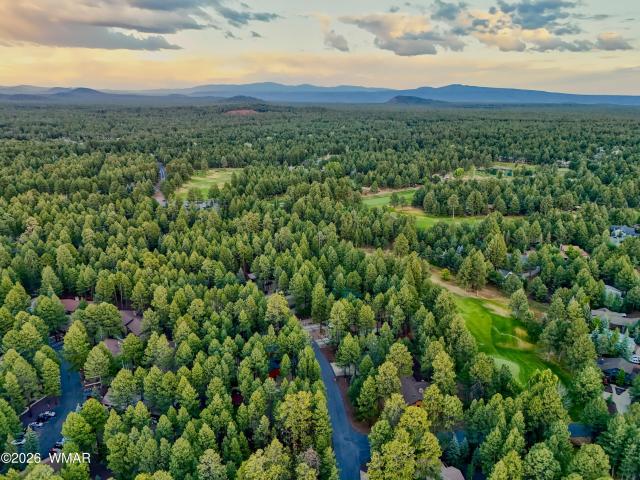 4266 Deep Forest Drive