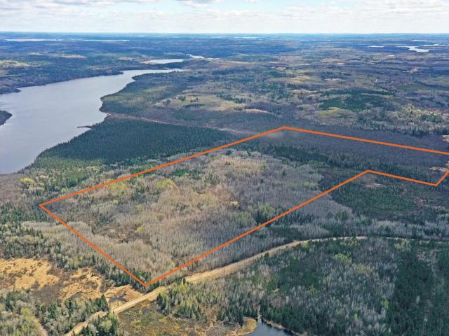 4268 Crane Lake Road