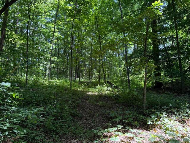 426 & 422 County Road 728. 58.5 acres