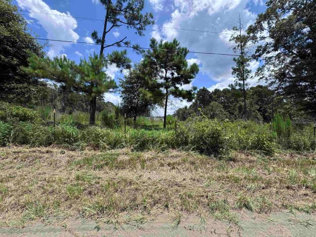 426 County Road 1420, Warren, TX 77664 | MLS #268906