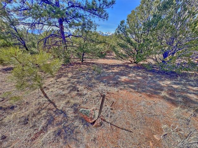 426 Arapaho Road