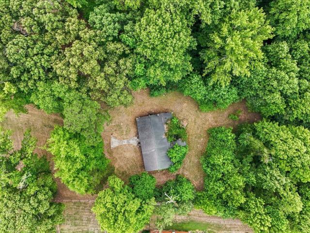 426 Fitch Drive