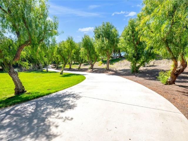 42761 Juniper