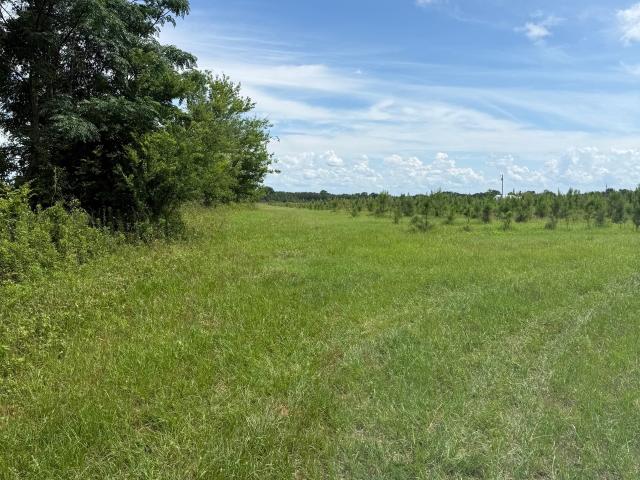 4276 county line rd