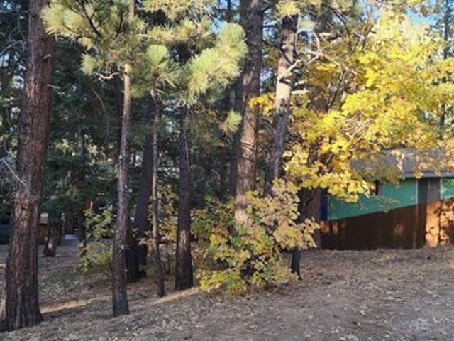 42736 Willow Ave, Big Bear Lake, CA 92315