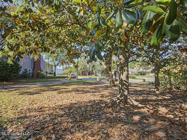427 Christi Lane