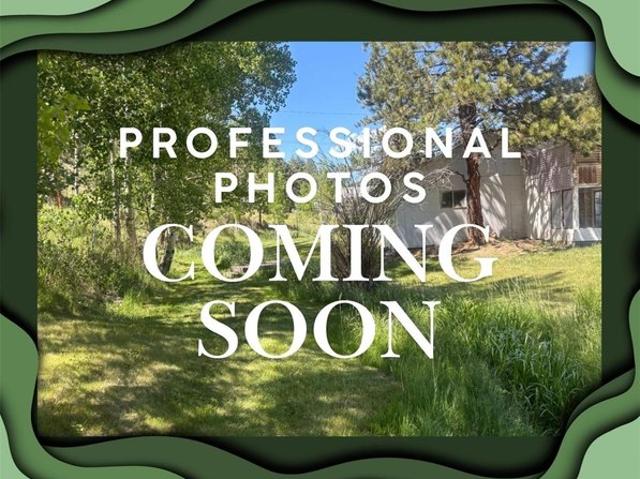 427 Brookside Dr, Bailey, CO 80421