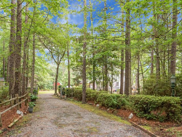 427 Grape Arbor Drive