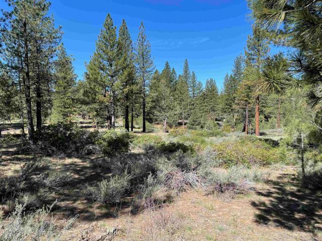 427 Sun Burst, Clio, CA 96106 | MLS #2600