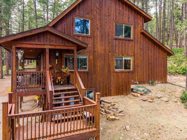 427 Pine Valley Rd, Bayfield, CO 81122
