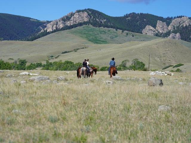 427 Upper French Creek Rd, Buffalo, WY 82834