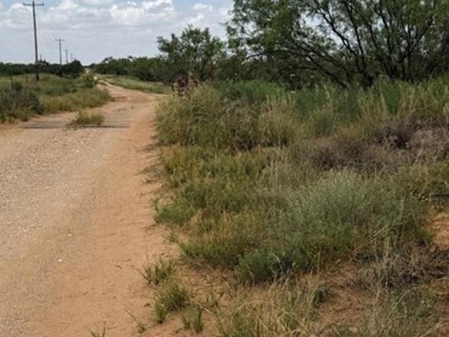 4285 County Road 167, Colorado City, TX 79512