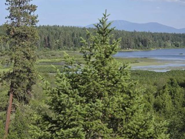 42800 N Hatch Rd, Deer Park, WA 99006