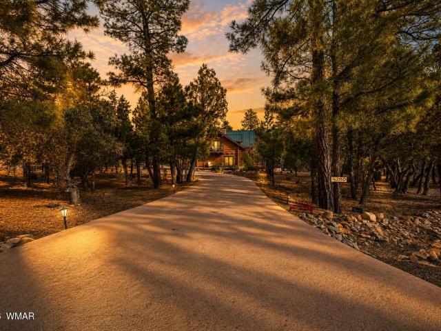 4280 Shaggy Bark Road
