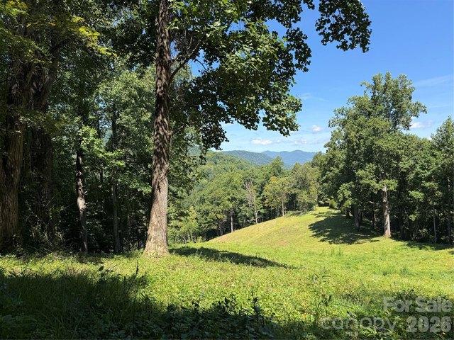 4281 Prices Creek Rd, Burnsville, NC 28714