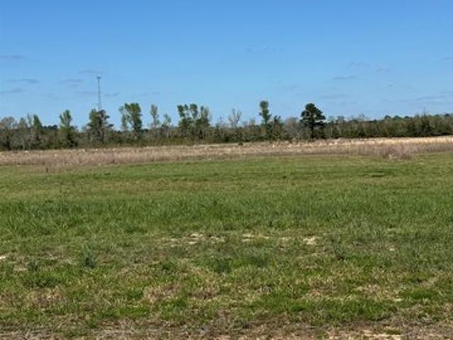 428 County Road 2278, Cleveland, TX 77327