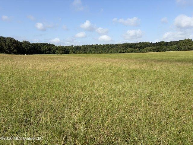428 Country Club Rd, Canton, MS 39046