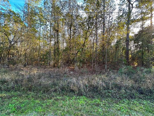 428 Division St, Hastings, FL 32145 | MLS #O6376 | Compass
