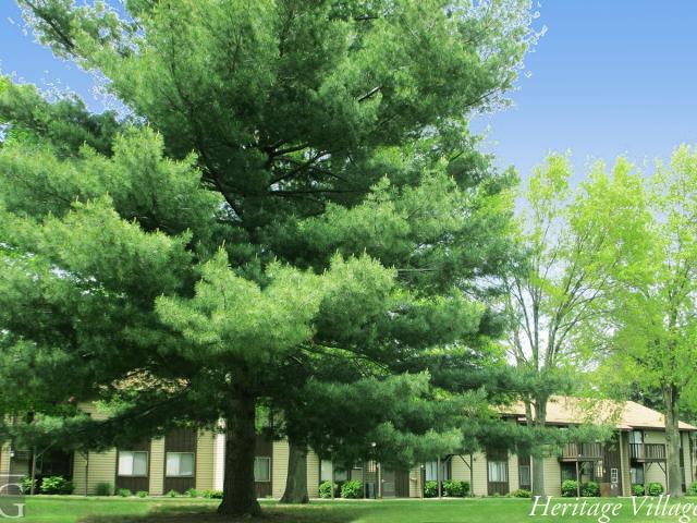 428 E. Elm, 2 beds, 1 full bath