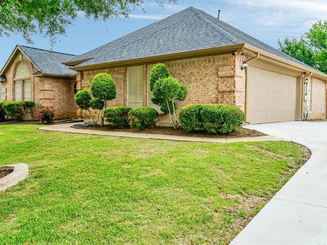 428 Shelby Drive
