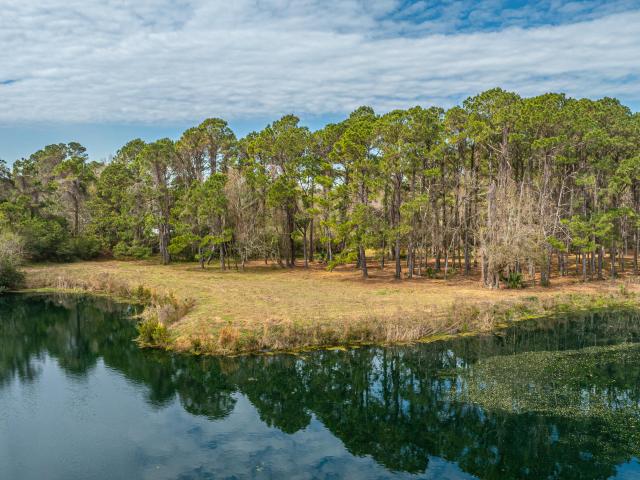 4297 Wild Turkey Way, Johns Island, SC 29455 | MLS #26007 | Compass