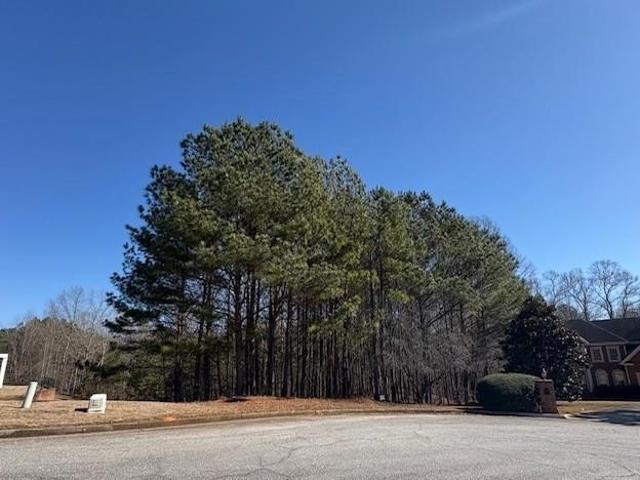 4290 Bronte Ln, Douglasville, GA 30135