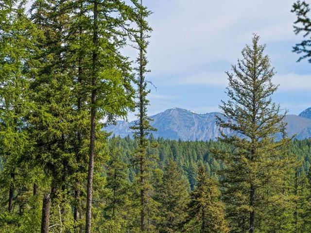 429 Chief Cliff Trl, Bigfork, MT 59911