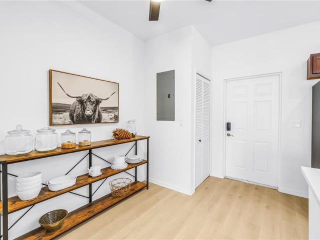 429 Lorraine Leland St, Dunedin, FL 34698 | MLS #TB8487