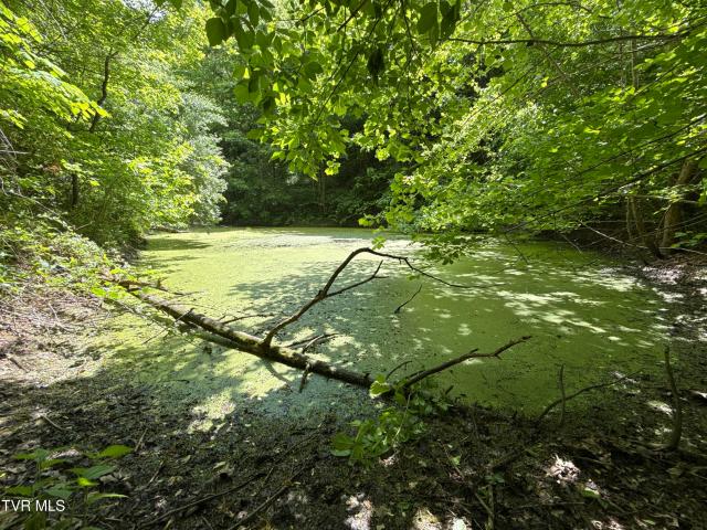 429ac Tbd Fisher Valley Road