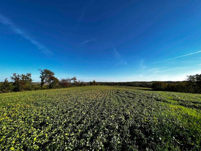 42.81 acres Highway 39, New Glarus, WI 53574 | MLS #1991